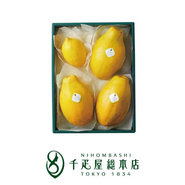 コロンブスが「天使のフルーツ」と絶賛したと言われるパパイヤ。「メディカルフルーツ」と呼ばれているほど栄養豊富な果物です。甘くて酸味が少なく、きめ細かい舌触りが特徴です。室温の涼しいところに保管して頂き、全体が黄色く、触って弾力を感じられる頃...