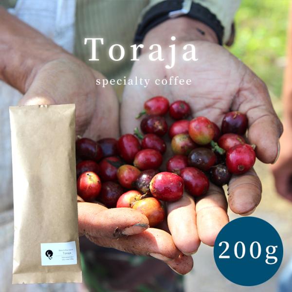 スラウェシ島の赤道直下山岳地帯で平均気温は20℃程度。昼夜の温度差は15℃以上の地域で作られたトラジャコーヒーは、身が固く引き締まり、香り高いコーヒーが育ちます。濃厚なアイスクリームのようなコクが飲みごたえのあるコーヒーです。深めで重厚感の...