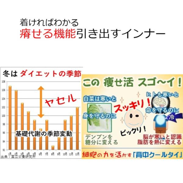 【発売日：2025年12月19日】褐色脂肪細胞ってご存知ですか？私たちの細胞には異種の細胞があり蓄える白色脂肪細胞と熱を産む褐色脂肪細胞があります。おすすめの健康グッズ「背中クールタイ」は脊髄の周りにある褐色脂肪細胞と重なり東京大学や日本生...
