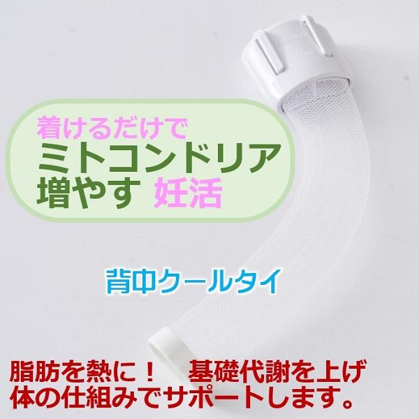 【発売日：2025年12月19日】ミトコンドリアを増やすシーンは代謝する過程でサポートするサプリメントもありますが紹介する「背中クールタイ」は論文にも報告されているように褐色脂肪細胞を刺激して速やかに脂肪を熱に代謝してミトコンドリアを増やし...