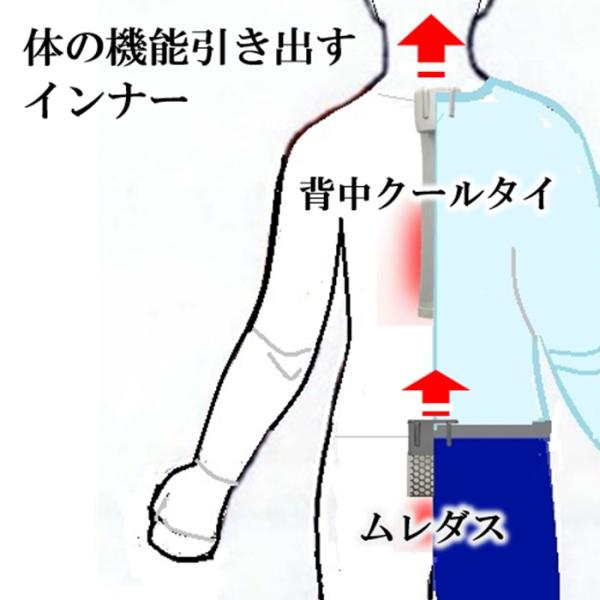 【発売日：2025年12月19日】交感神経 身体の機能 仕組みを引き出すインナー「背中クールタイ」と「ムレダス」お得なセット 暑い環境 蒸れ 気化熱 を放出、体温調節 冷ます冷却機能で身体を冷やす。熱を逃がして寒さを負荷して体熱を産む褐色脂...