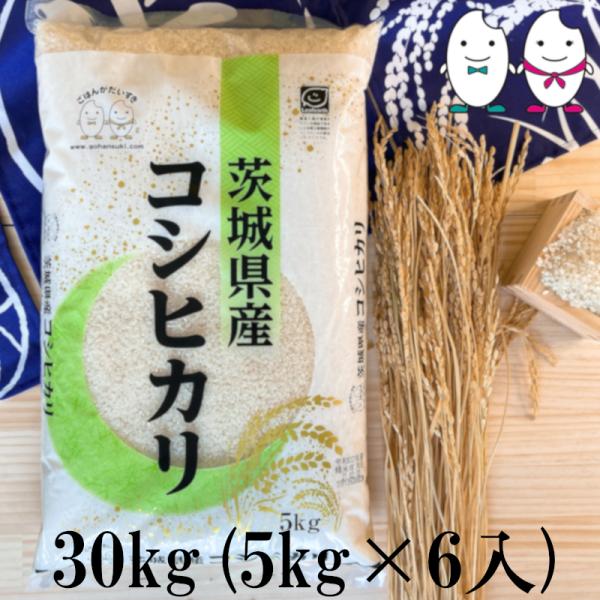 【発売日：2019年07月29日】【茨城県産コシヒカリ10割】茨城県産こしひかりはツヤ・コシ・粘りと三拍子揃っており、噛めば噛むほど甘みやうまみが出て、美味しいお米です。新潟県に次いで全国第二位の収穫量を誇っています。