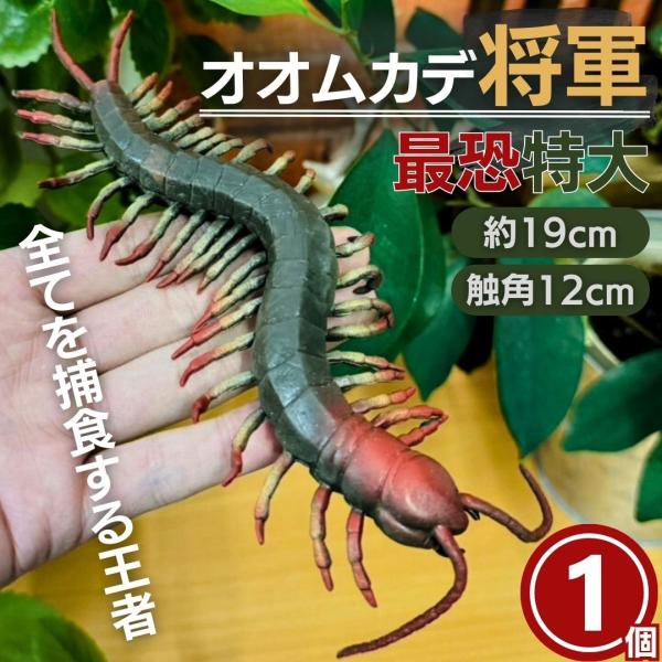 サイズ縦約19cm(触角含めない) 横約10cm 高さ約2cm重量約40g素材 ゴム製【セット内容】1個＊被害を100%防ぐ物ではございませんのでご了承ください＊ムカデの好物はゴキブリやクモ、コオロギ、ミミズなどを捕食します＊こちらのムカデ...