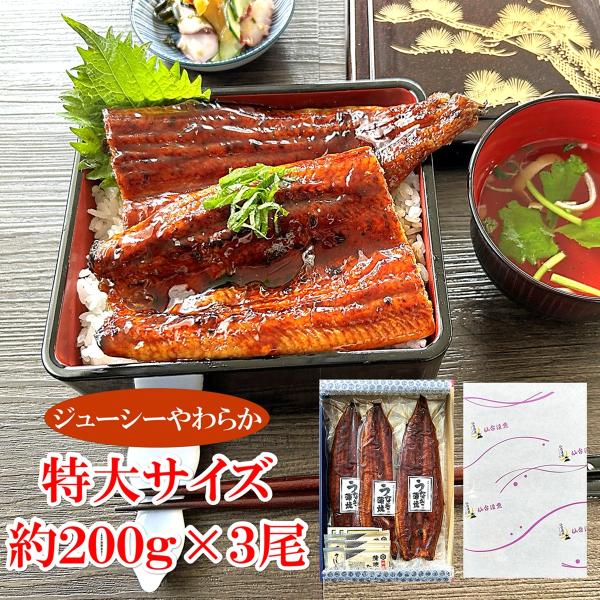 ジューシーで旨味とコクと柔らかさ、ふんわりふっくら炭火焼鰻蒲焼、たっぷり味わえて超満足な特大鰻です。ふっくらジューシーで食べごたえのセットです。ニホンウナギの稚魚を日本の徹底指導により中国で育てました。食べ応えの1尾約200gをお手軽に!!...