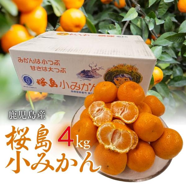 商品詳細　名称 鹿児島産 さくら島　小ミカン　４ｋｇ 秀品 　サイズ２L又はL又はM又はS賞味期限・消費期限 生ものですのでお早目にお召し上がり下さい。保存方法 直射日光、高温多湿を避け保存配送方法 常温※本商品は1個の購入につき、北海道/...