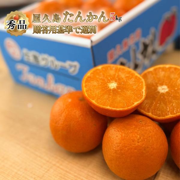鹿児島産　屋久島たんかん　５ｋｇ　秀品総重量 5ｋg産地（都道府県） 鹿児島県　屋久島消費期限 生ものですのでお早目にお召し上がり下さい。販売者 株式会社鮮ど市場保存方法 直射日光、高温多湿を避け保存※本商品は1個の購入につき、北海道/沖縄...