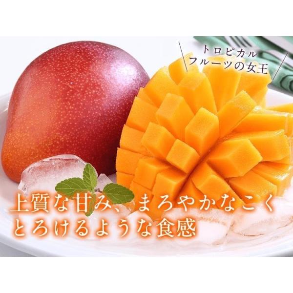 商品詳細　商品名　　：鹿児島産　完熟マンゴー2玉大玉サイズ　産地名　　：鹿児島産　内容量　　：２玉入り（１玉約400g）　サイズ　　：2Lサイズ　配送料　　：送料無料（一部地域を除く）　　　　　　　※本商品は1個の購入につき、北海道/沖縄は...