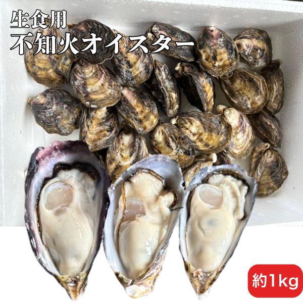 名称・品種：不知火オイスター・マガキ産地名：熊本県八代市内容量：約1kg賞味期限：発送日含めて５日発送元：鏡の漁師直売所保存方法：冷蔵庫で保管