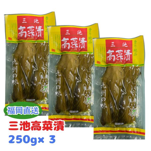 名称 野口食品 三池高菜　250g×3原材料 高菜(国産)、漬け原材料[しょうゆ、食塩、醸造酢、蛋白加水分解物、ウコン]／調味料(アミノ酸)、保存料(ソルビン酸)、着色料(黄色4号)(一部に小麦・大豆を含む)賞味期限・消費期限 商品パッケー...