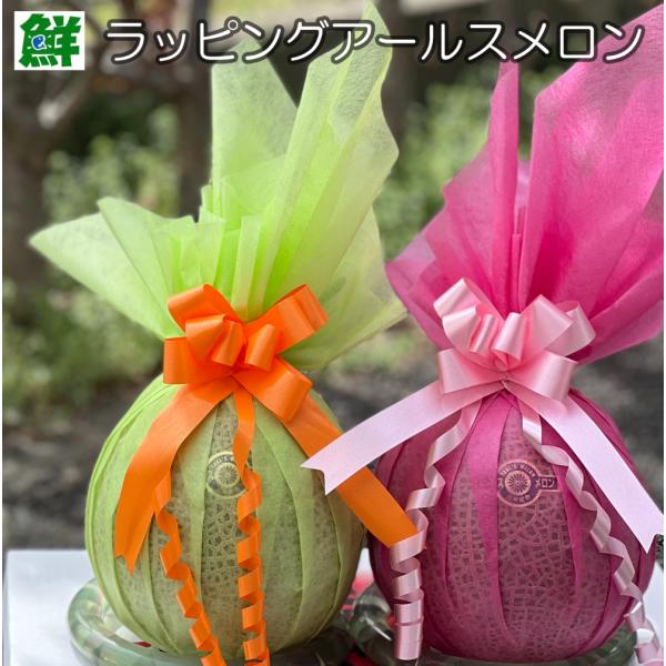 商品詳細　商品名　　：熊本産アールスメロン１玉　産地名　　：熊本産　内容量　　：１玉（約1.5kg〜2kg）等級・サイズ：秀品・2Ｌ以上　配送方法　：常温便　保存方法　：冷暗所で保存してください。注意事項・生ものですので、お早めにお召し上が...