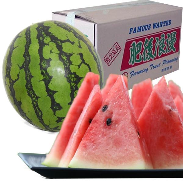 商品詳細　商品名　　：熊本産　肥後浪漫スイカ2玉（4L・5Lサイズ)　産地名　　：熊本産　内容量　　：２玉入り（1玉約8〜10kg）　サイズ　　：4L・5Lサイズ　保存方法　：冷暗所で保存してください。　配送方法　：常温便　配送料金　：送料...