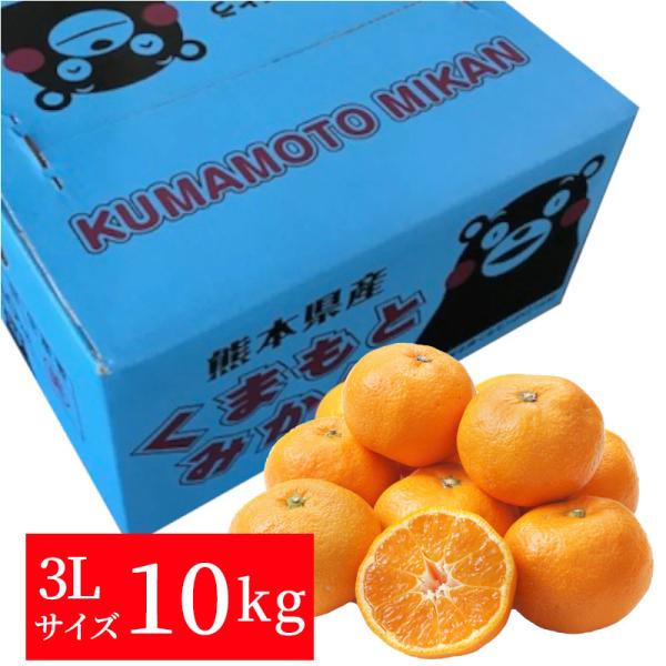 商品詳細　商品名　　：熊本産　青島みかん10kg　産地名　　：熊本産　内容量　　：１箱約10kg等級・サイズ：秀品・3Ｌサイズ　保存方法　：冷暗所で保存してください。　配送方法　：常温便　配送料金　：送料無料（一部地域を除く）　注意事項　：...