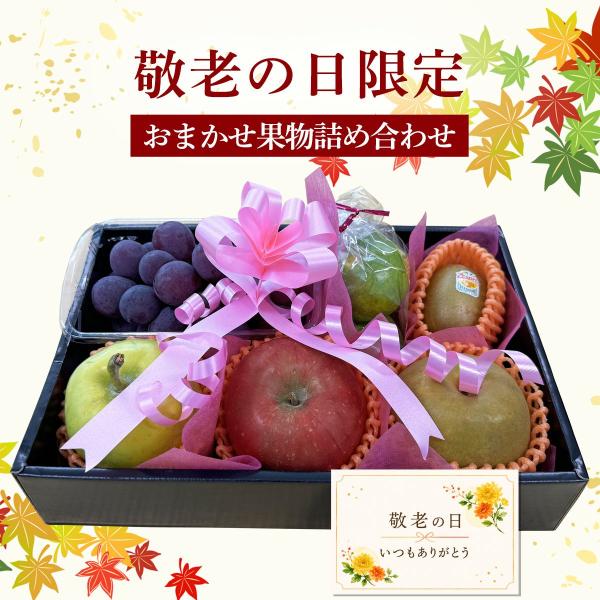 商品詳細　商品名　　：旬の果物詰め合わせ　商品内容　：リンゴ・梨・ぶどう・みかん・ゴールドキウイなど６種類ほどの果物がおまかせで入ります。※入荷状況等により商品が入れ替わる場合がありますご了承ください。　配送方法　：ヤマト運輸冷蔵便　保存方...