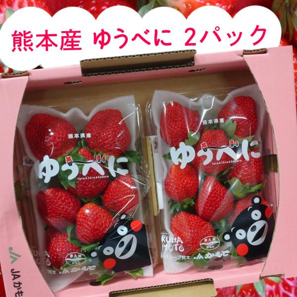 熊本産 ゆうべに 約250g×2パック【内容量】約250g×2パック【保存方法】10℃以下　要冷蔵【配送温度帯】クロネコヤマト　クール便（冷蔵）【販売元】(株)鮮ど市場熊本市尾上2丁目25-11