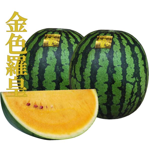 商品詳細　商品名　　：金色羅皇西瓜2玉（2L〜3Lサイズ)　産地名　　：熊本産　内容量　　：1玉約6kg〜8kg×2玉　サイズ　　：2L〜3Lサイズ　保存方法　：冷暗所で保存してください。　配送方法　：常温便　注意事項　：商品到着後は、なる...