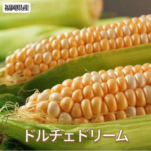 商品詳細　商品名　　：ドルチェドリーム(スイートコーン)　産地名　　：福岡産　内容量　　：12~14本入等級・サイズ：秀品　配送料　　：送料無料（一部地域を除く）　　　　　　　※本商品は1個の購入につき、北海道/沖縄は航空便のため送料1,0...