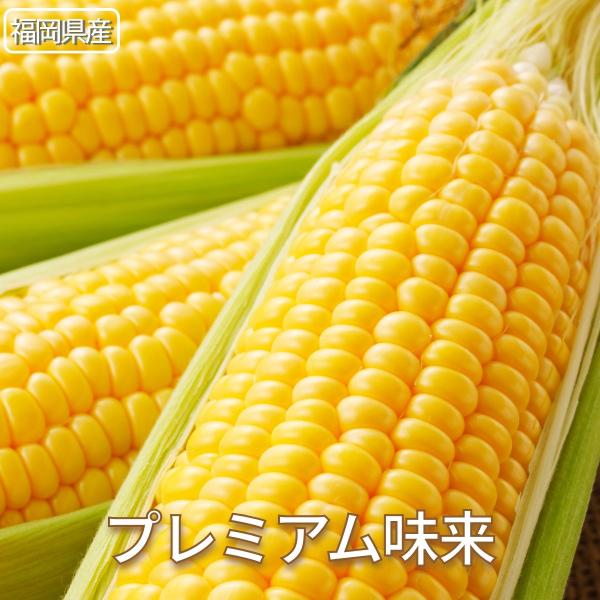 商品詳細　商品名　　：プレミアム味来(スイートコーン)　産地名　　：福岡産　内容量　　：12~15本入等級・サイズ：秀品　配送料　　：送料無料（一部地域を除く）　　　　　　　※本商品は1個の購入につき、北海道/沖縄は航空便のため送料1,00...