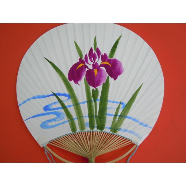 柄が長くて丸い、舞踊用の踊り団扇(うちわ)です。菖蒲（あやめ）流水、両面同じ絵柄となります。長さ　約43cm。最大幅　約24cm。