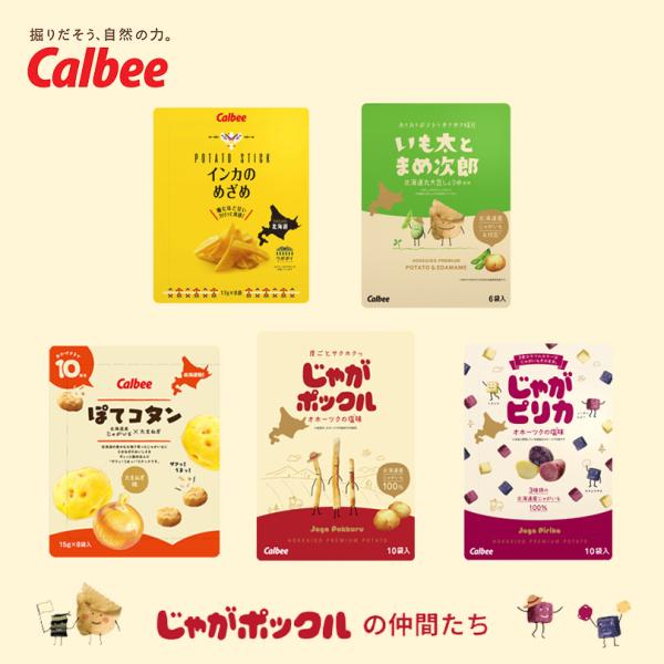 カルビー Calbee 母の日 父の日 お中元 お花見 2025 ギフト スイーツ お菓子 スナック菓子 人気 有名 お中元 御歳暮 御祝い【じゃがポックル】北海道産じゃがいも・オホーツクの塩を使用し、サクッとした独自の食感を感じられるポテ...