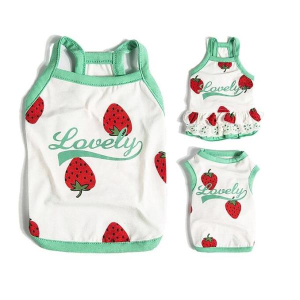 小型犬、中型犬、犬服、ペット用品、ドギーランド DOGGYLAND術後服 傷舐め防止キャットウエア