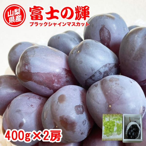 【発売日：2026年08月20日】山梨県産の「富士の輝き」は、志村葡萄研究所で生まれたぶどうです！ぶどうの品種改良は大変難しく、黒いシャインマスカットが誕生したのは大変珍しく、まさに奇跡。甘さがたっぷり詰まっていて、一粒一粒が大きくてジュー...