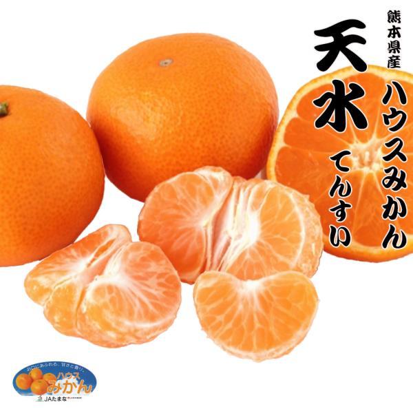 商品名：天水ハウスみかん産地：熊本県内容量：約5Kg　2Lサイズ賞味期限：商品到着後、お早めにお召し上がりください。