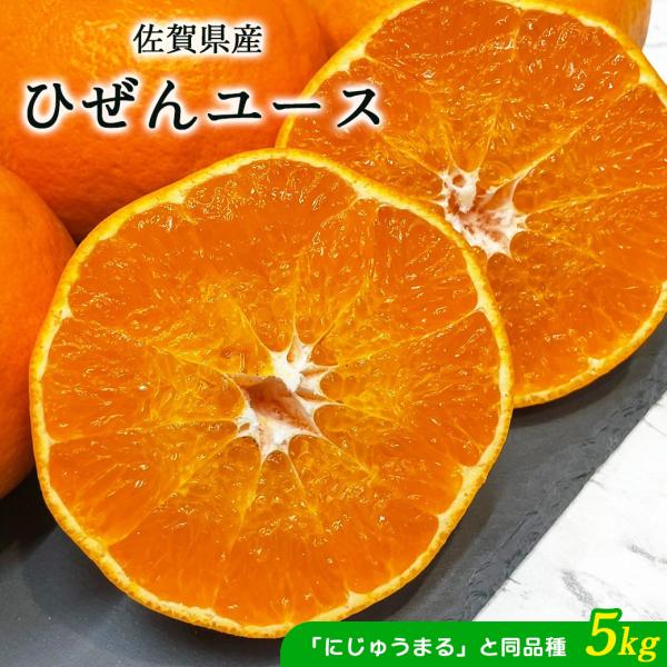 佐賀県が開発した高級ブランド柑橘「にじゅうまる」と同品種で、選果基準に惜しくも達しなかったものとなります。肥前の国の荒削りな輝く原石という意味を込めて「ひぜんユース」と命名されました。佐賀県でしか栽培されない希少な柑橘をぜひご賞味ください。...
