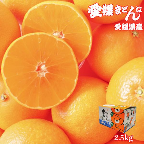 【発売日：2026年12月10日】愛媛まどんなは、愛媛県が10年もの歳月をかけて開発した高級ブランド柑橘で、「愛果28号」として知られる特別な品種です。その果肉はゼリーのようにぷるぷると柔らかく、ひと口食べるとたっぷりの果汁が口いっぱいに広...