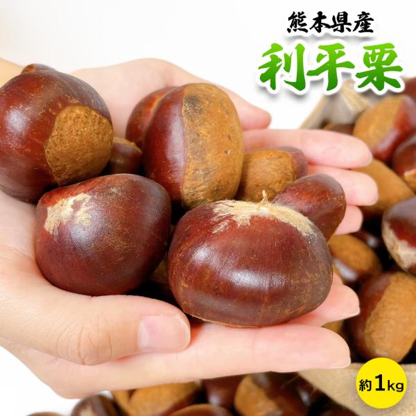 商品名：利平栗産地：熊本県内容量：2Lサイズ　約1Kg賞味期限：商品到着後なるべくお早めにお召し上がりください。爆買