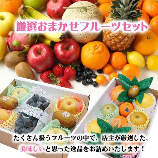 商品名：『卸売市場の店主厳選！おまかせフルーツセット』内　容：季節に応じて、厳選した旬のフルーツを5-１０点程度お詰めいたします。　　　※店主に一任していただく商品になります。　　　　お客様のご要望になるべく添えるように配慮させて頂きますが...