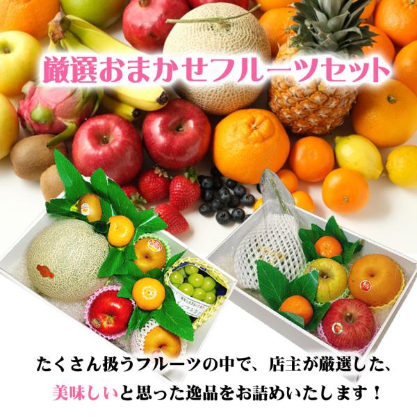 商品名：『卸売市場の店主厳選！おまかせフルーツセット』内　容：季節に応じて、厳選した旬のフルーツを3-5点程度お詰めいたします。　　　※店主に一任していただく商品になります。　　　　お客様のご要望になるべく添えるように配慮させて頂きますが、...