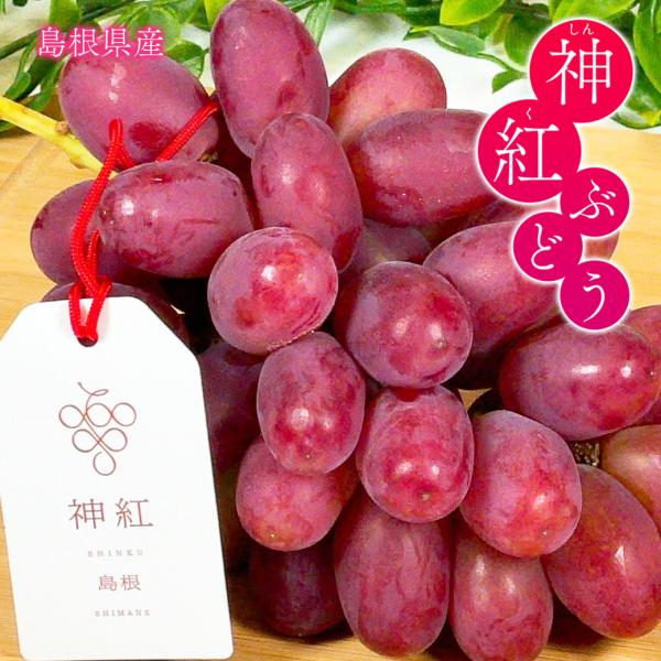 島根県が誇る高級ぶどう 「神紅（しんく）」。その名の通り、果皮・果肉ともに深い紅色をまとい、ひと房から上品な香りが立ちのぼります。ひと粒を口に含めれば、濃厚な甘さとみずみずしさが広がり、皮ごと食べられる心地よい食感が楽しめます。糖度だけでは...