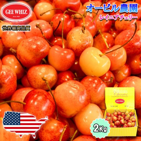 商品説明名　称:オービル農園　アメリカンチェリー　GEE WHIZ　大粒レイニアチェリー【2kg】世界最高品質 レーニアチェリー・送料無料原産地:アメリカ・ワシントン州産（オービル農園産）内容量:1箱 約2.0kg　超大粒サイズ　化粧箱入り...