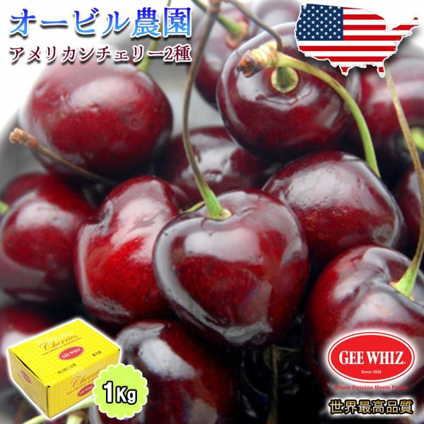 商品説明名　称:オービル農園　ダークチェリー　GEE WHIZ　大粒【1kg】世界最高品質 ダークチェリー・送料無料原産地:アメリカ・ワシントン州産（オービル農園産）内容量:1箱 約1.0kg　超大粒サイズ　化粧箱入り　最高級贈答用ギフトコ...