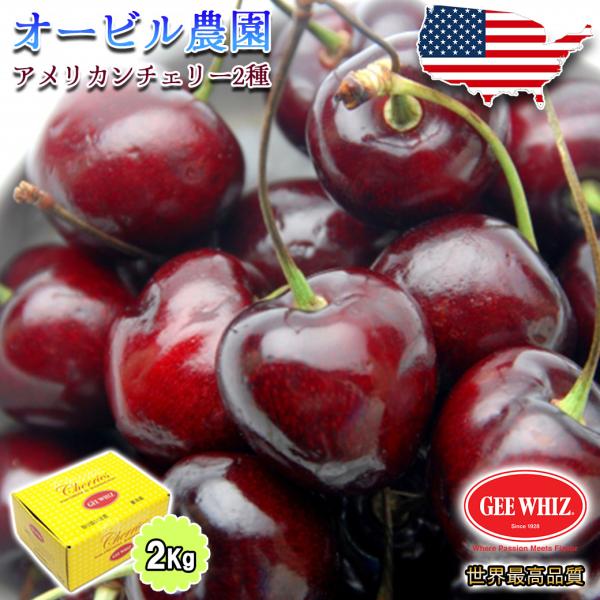 商品説明名　称:オービル農園　ダークチェリー　GEE WHIZ　大粒【2kg】世界最高品質 ダークチェリー・送料無料原産地:アメリカ・ワシントン州産（オービル農園産）内容量:1箱 約2.0kg　超大粒サイズ　化粧箱入り　最高級贈答用ギフトコ...