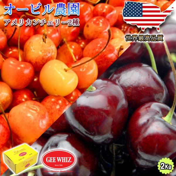 商品説明名　称:オービル農園　ダークチェリーとレイニアチェリー　GEE WHIZ　大粒【2kg】世界最高品質 ダークチェリー・送料無料原産地:アメリカ・ワシントン州産（オービル農園産）内容量:1箱 約2.0kg　（ダークチェリー1Kg・レイ...