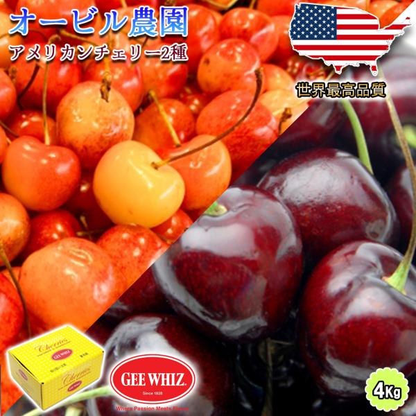 商品説明名　称:オービル農園　ダークチェリーとレイニアチェリー　GEE WHIZ　大粒【4kg】世界最高品質 ダークチェリー・送料無料原産地:アメリカ・ワシントン州産（オービル農園産）内容量:1箱 約4.0kg　（ダークチェリー2Kg・レイ...