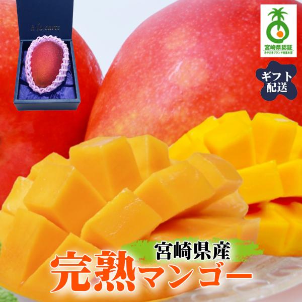 【発売日：2026年05月21日】宮崎県の温暖な気候と長い日照時間を活かして育てられた、糖度の高いトロピカルフルーツ 完熟マンゴー。果実にストレスをかけず、ゆっくりと育てることで、甘みが凝縮されたマンゴーになります。樹上でじっくりと熟成され...
