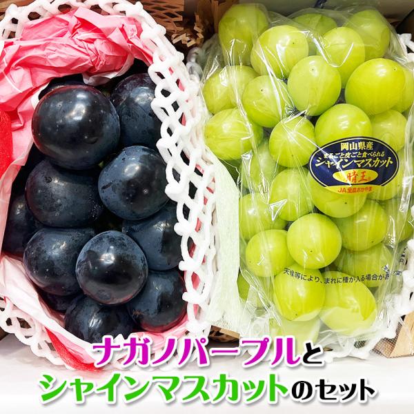 【発売日：2026年08月19日】商品名：晴王シャインマスカットとナガノパープルの詰合せ産地：岡山県、長野県内容量：合計1.2Kg（各600g）賞味期限：商品到着後なるべく早めにお召し上がり下さい