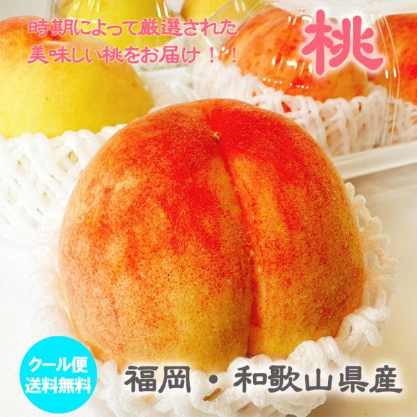【発売日：2026年06月05日】福岡県と和歌山県から厳選された白鳳桃が、4玉の化粧箱入です。白鳳桃は日本の桃の代表的な品種で、果肉が柔らかく、果汁たっぷりでとろけるような口当たりが魅力です。光センサーで糖度をしっかり保証しているので、甘さ...