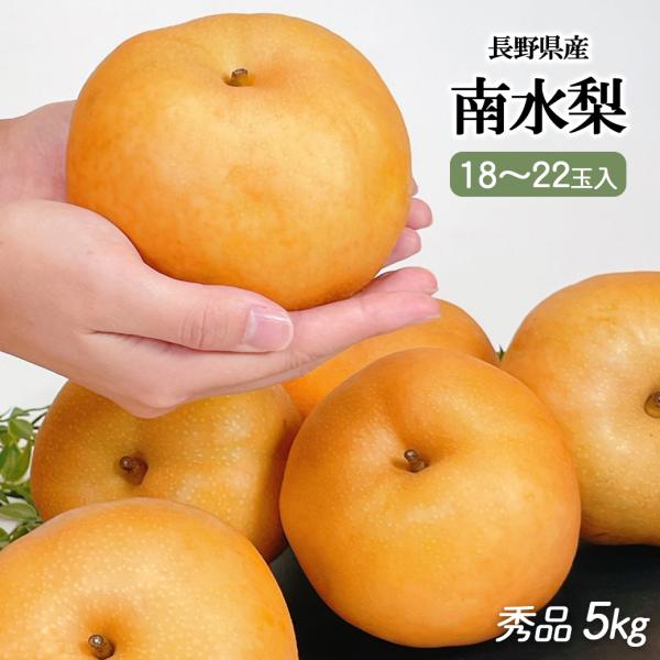 【発売日：2026年09月24日】信州 長野 梨 なし 送料無料 お試し 南水梨 5Kg 秀品 ギフト 大玉 長野県のオリジナル梨商品名：南水梨規格：秀品 小玉 約5kg産地：長野県産