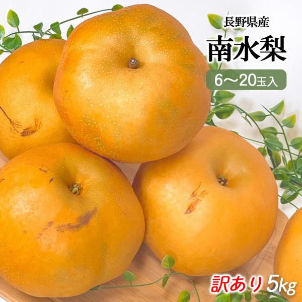 【発売日：2026年09月24日】信州 長野 梨 なし 送料無料 お試し 南水梨 5Kg 訳あり 長野県のオリジナル梨商品名：南水梨規格：訳あり 約5kg産地：長野県産