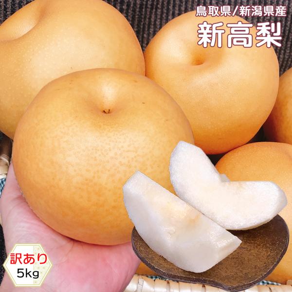 名称：新高梨 にいたかなし産地：新潟県　鳥取県産内容量：１箱　5kg（5〜14個入り）賞味期限：商品到着後、お早めにお召し上がりください