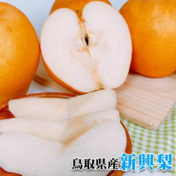 【発売日：2026年10月05日】鳥取県産の新興梨は、甘みと酸味が絶妙に調和したジューシーな味わいが特徴です。形は少しユニークで、肩の部分がぽってりとしています。秋から冬にかけての季節にぴったりで、お歳暮にもおすすめです。商品名：新興梨産地...