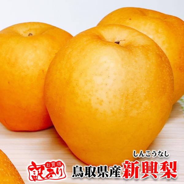 鳥取県産の新興梨は、甘みと酸味が絶妙に調和したジューシーな味わいが特徴です。形は少しユニークで、肩の部分がぽってりとしています。秋から冬にかけての季節にぴったりで、お歳暮にもおすすめです。商品名：新興梨産地：鳥取県内容量：約10Kg（16-...