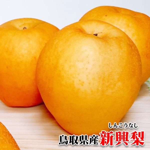 鳥取県産の新興梨は、甘みと酸味が絶妙に調和したジューシーな味わいが特徴です。形は少しユニークで、肩の部分がぽってりとしています。秋から冬にかけての季節にぴったりで、お歳暮にもおすすめです。商品名：新興梨産地：鳥取県内容量：約5Kg（6-12...