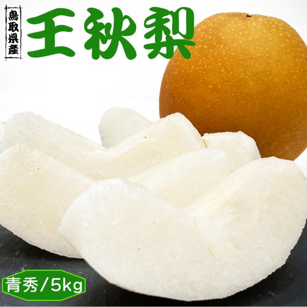 【発売日：2026年11月05日】鳥取県産の「王秋」梨は、みずみずしい美味しさがぎゅっと詰まった秋の贈り物です。ザブッとした食感とスッキリとした甘さが特徴で、少し細長い形が個性的。ほどよい酸味が上品な味わいを引き立て、果肉はやわらかくジュー...