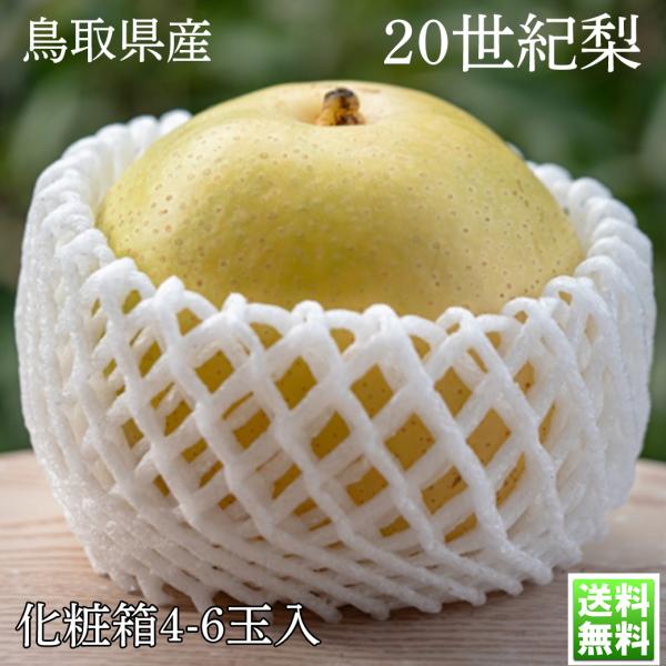商品名：20世紀梨産地：鳥取県内容量：化粧箱入　4-6玉賞味期限：商品到着後なるべくお早めにお召し上がりください。