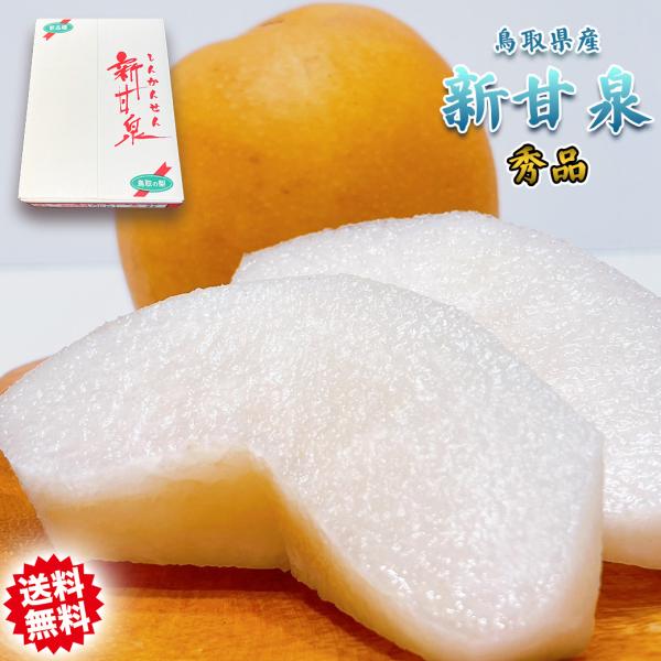 【発売日：2026年09月05日】鳥取県 オリジナル ブランド梨 新甘泉商品名：新甘泉梨産地：鳥取県内容量：1箱　約5kg（6-10玉）賞味期限：商品到着後、なるべく早くお召し上がりください。爆買