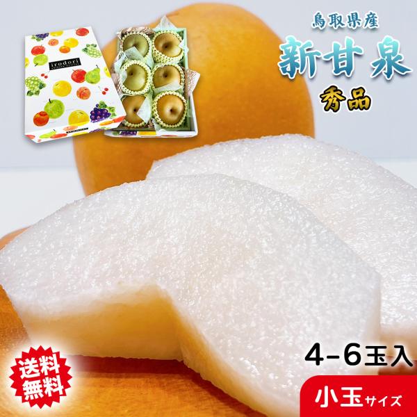 【発売日：2026年09月05日】鳥取県 オリジナル ブランド梨 新甘泉商品名：新甘泉梨産地：鳥取県内容量：1箱　4玉または6玉　中玉〜小玉サイズ賞味期限：商品到着後、なるべく早くお召し上がりください。爆買